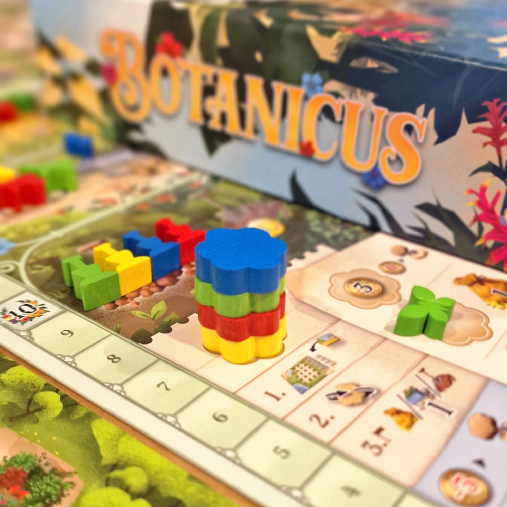 Jogo Botanicus - Bravo Jogos