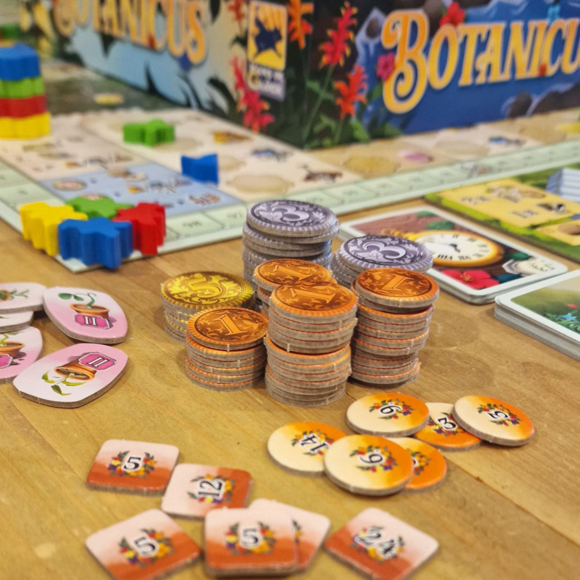 Jogo Botanicus - Bravo Jogos