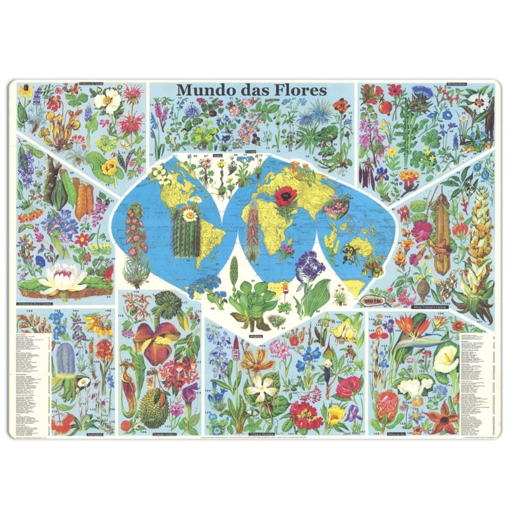 Quebra-Cabeça : Mundo das Flores (500 pçs) - Bravo Jogos